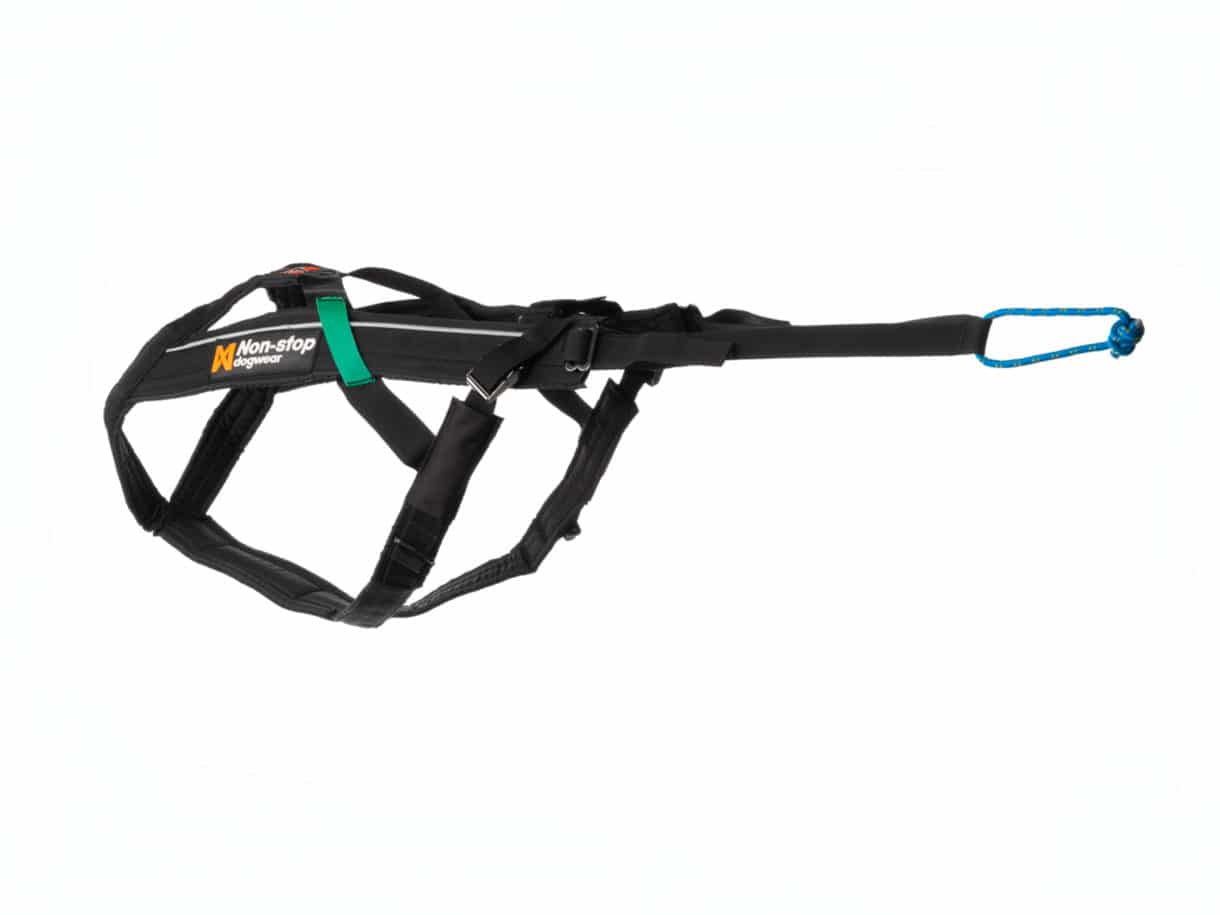 Freemotion harness | havohravo.com