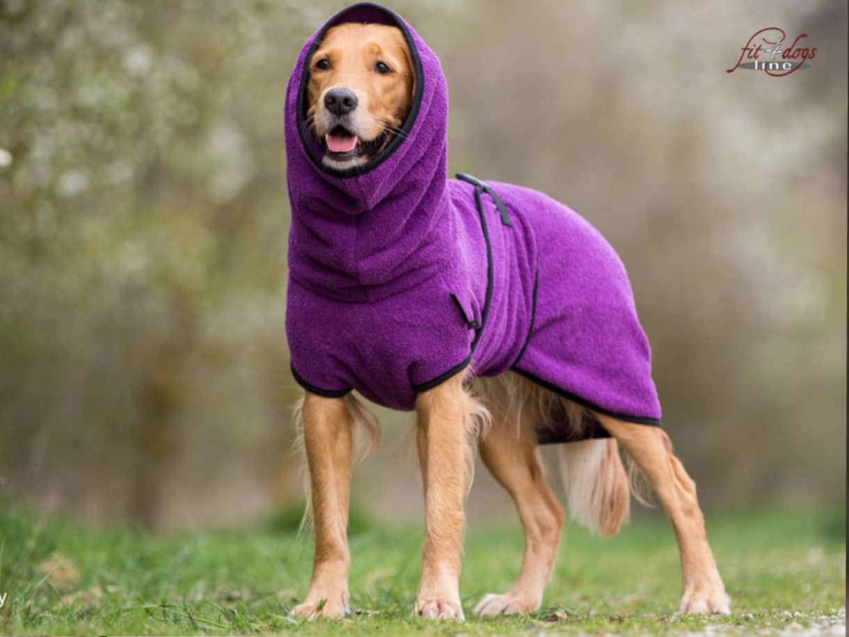 DryUp Cape Bilberry | havohravo.com