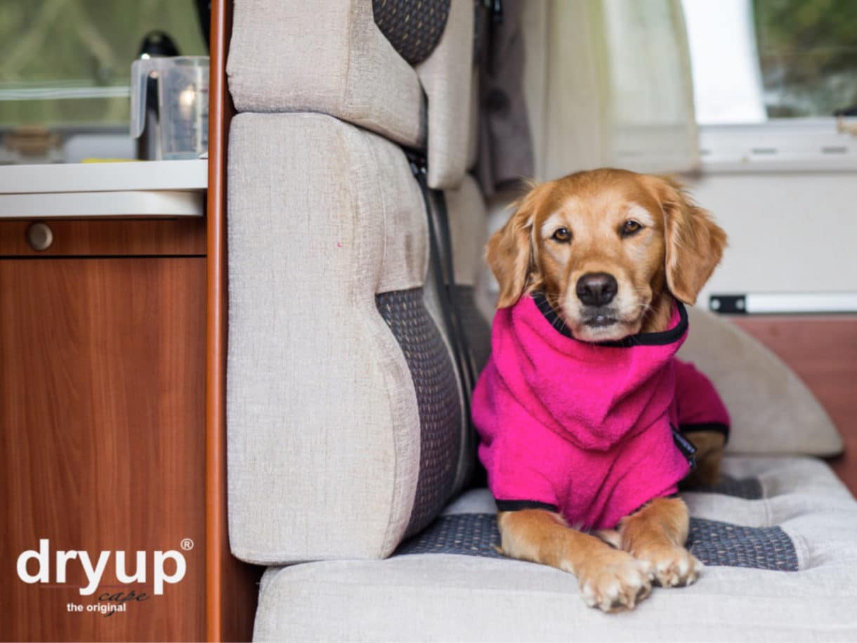 DryUp Cape Pink | havohravo.com